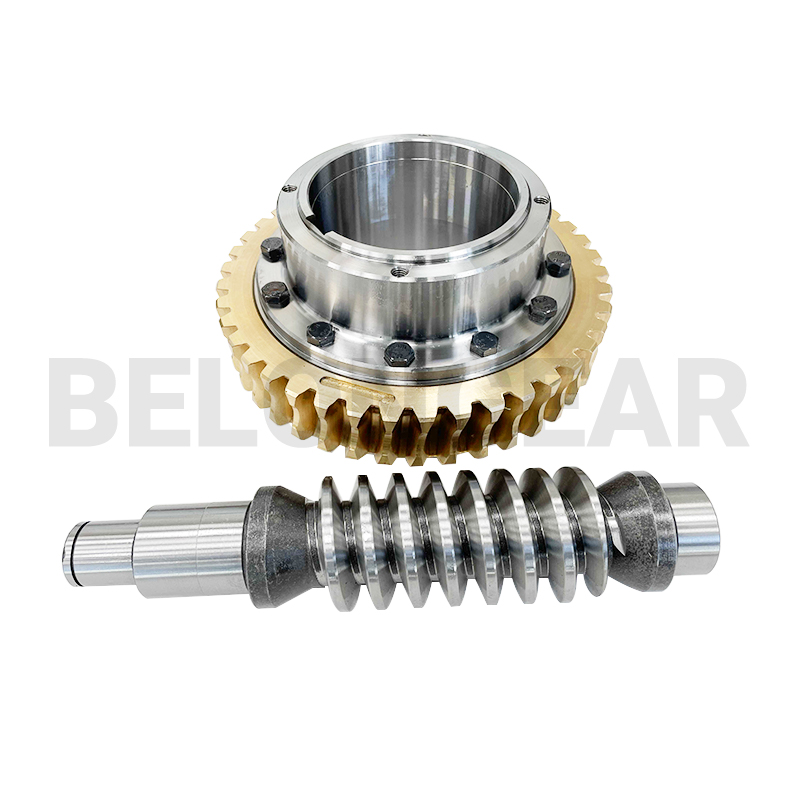 China dual lead worm and worm wheel factory and manufacturers | Belon